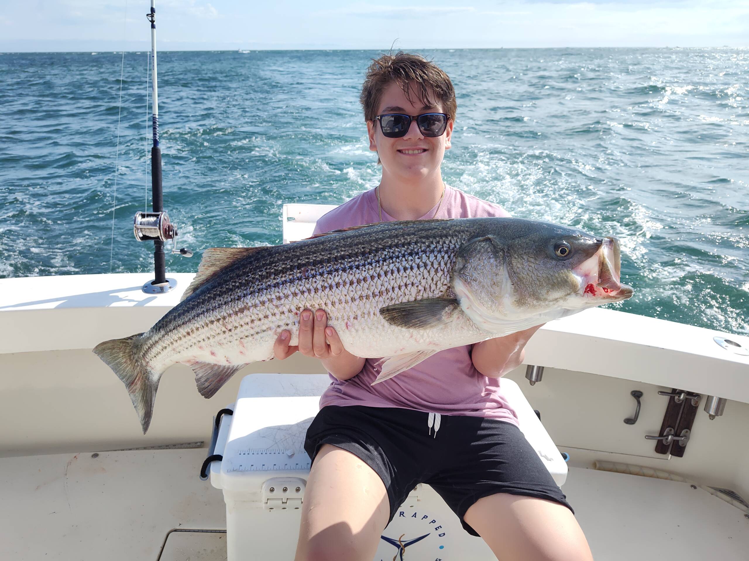 Striped Bass Fishing Charters – TailWrapped Sportfishing Montauk, NY