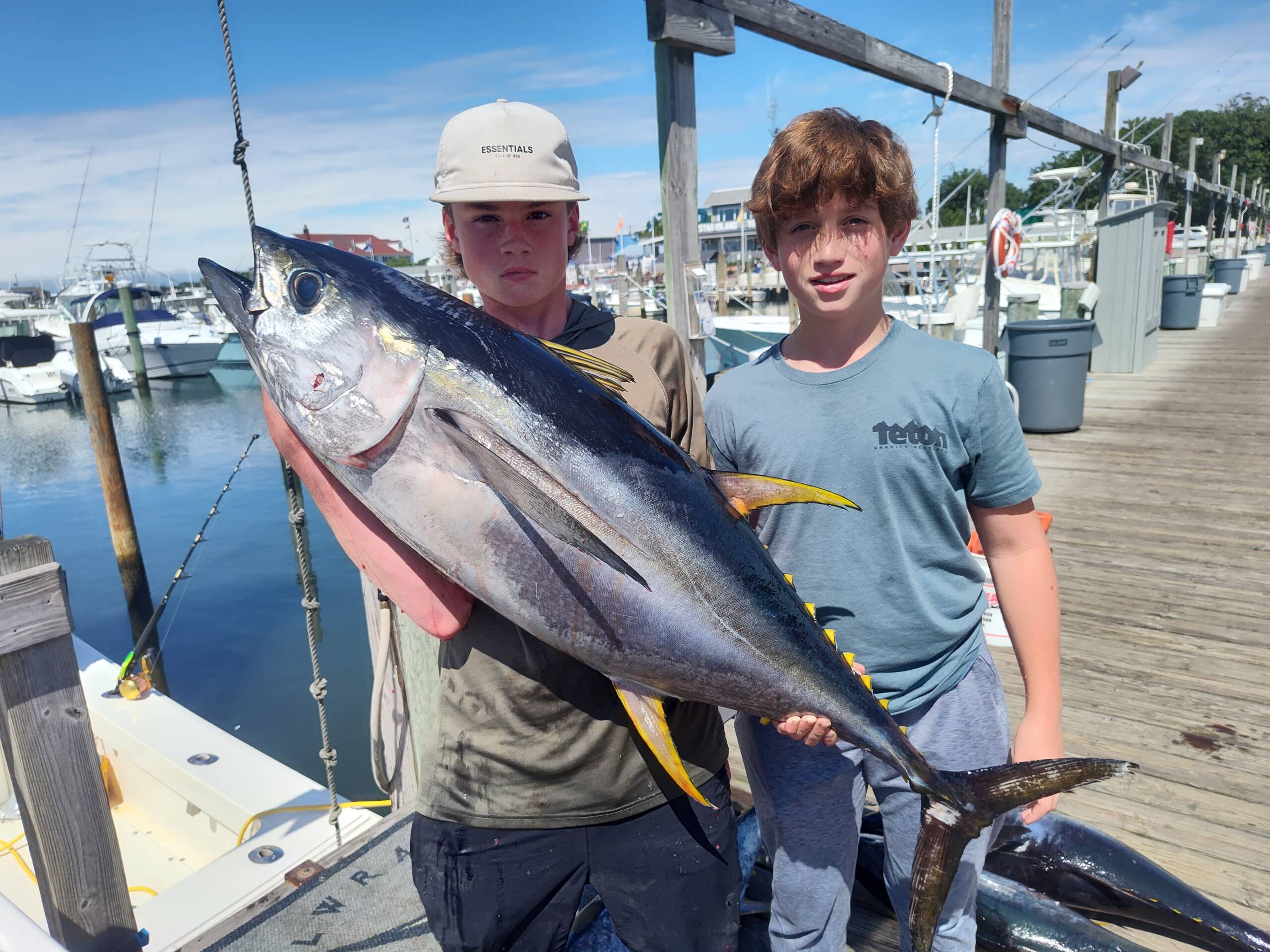 TUNA 2023 - TailWrapped